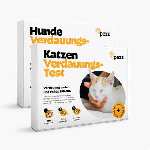 Alle Produkte von Pezz life - Spare 20% auf alles