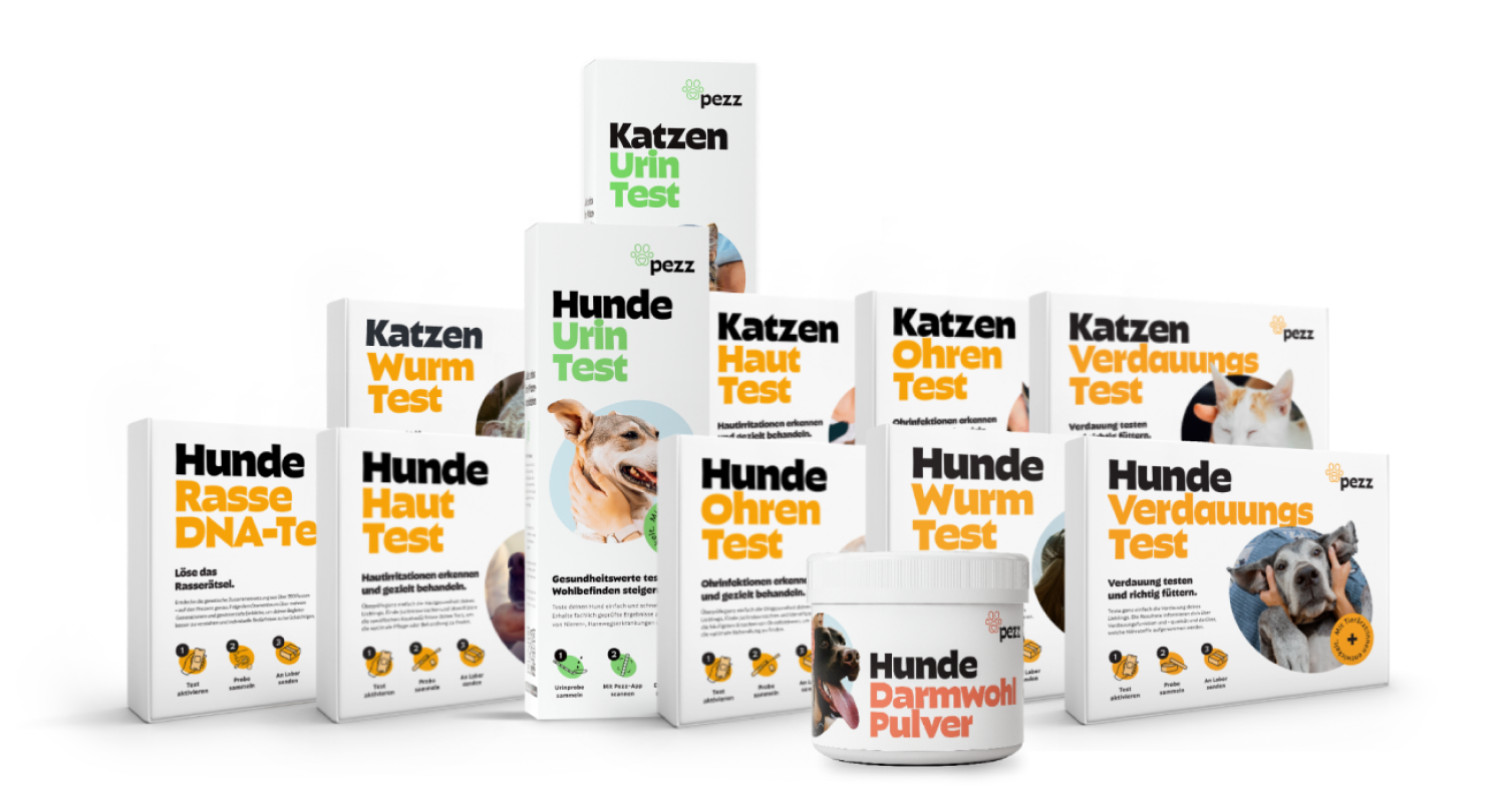 Alle Produkte von Pezz life - Spare 20% auf alles