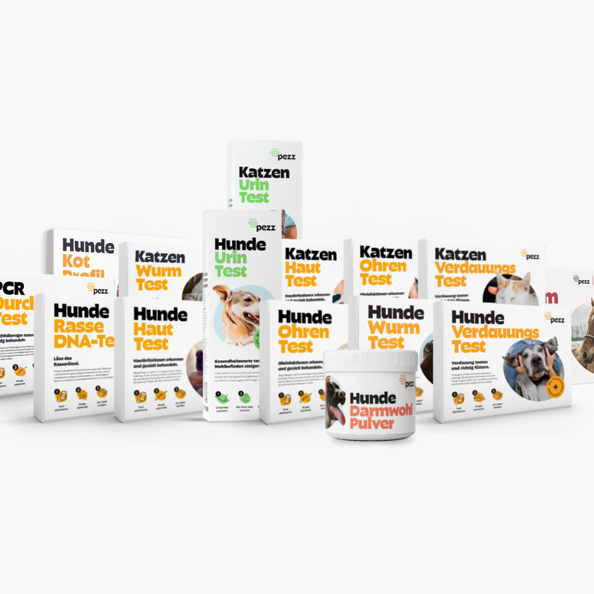 Alle Produkte von Pezz life - Spare 20% auf alles