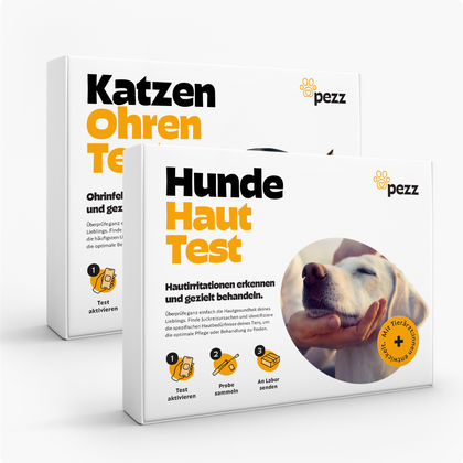 Alle Produkte von Pezz life - Spare 20% auf alles