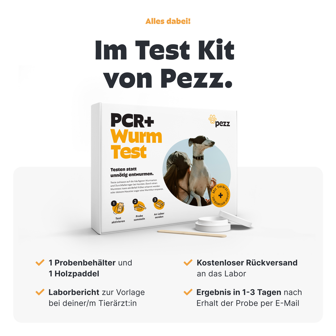 Hunde Wurmtest PCR+ – Pezz life