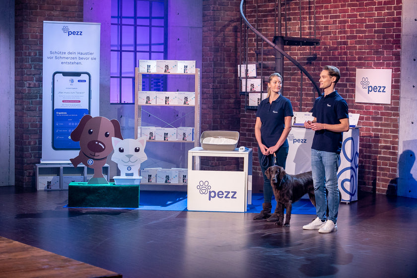 Über unser Team und das Unternehmen | Pezz life