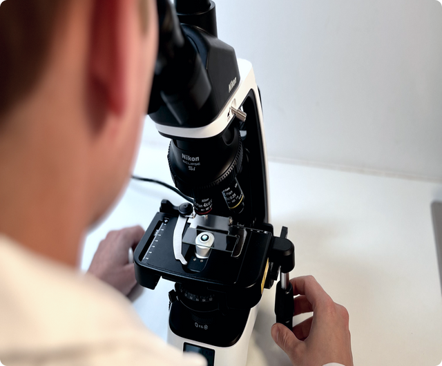 Unser Labor | Pezz life